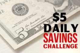 $5 Daily Money Saving Challenge (Save $1820 In 52 Weeks)