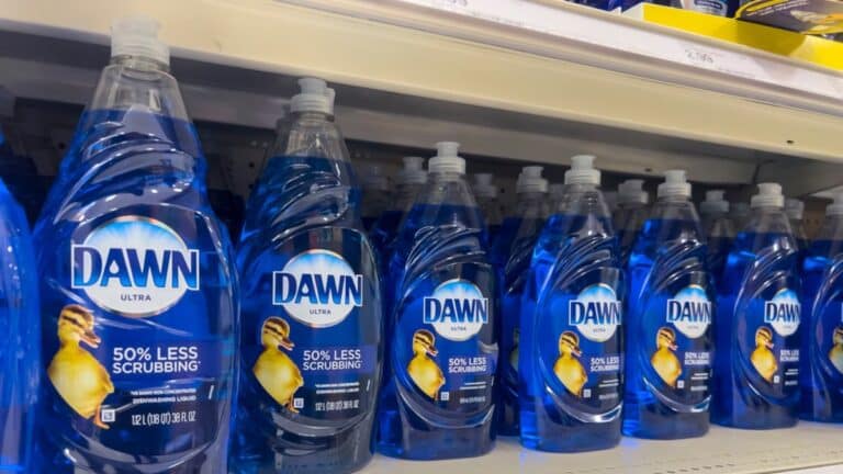 20 Unique Frugal Living Tips from Reddit to Save You a Fortune