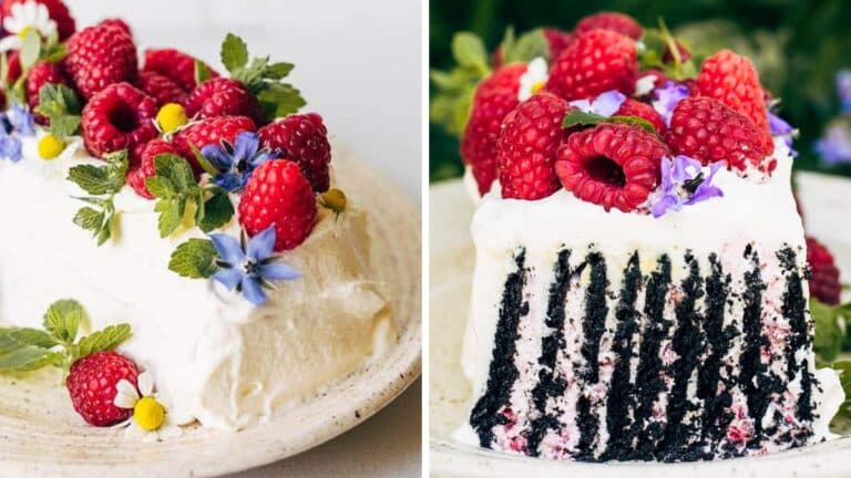 20 Icebox Cake Recipes That Are No-Bake And Easy